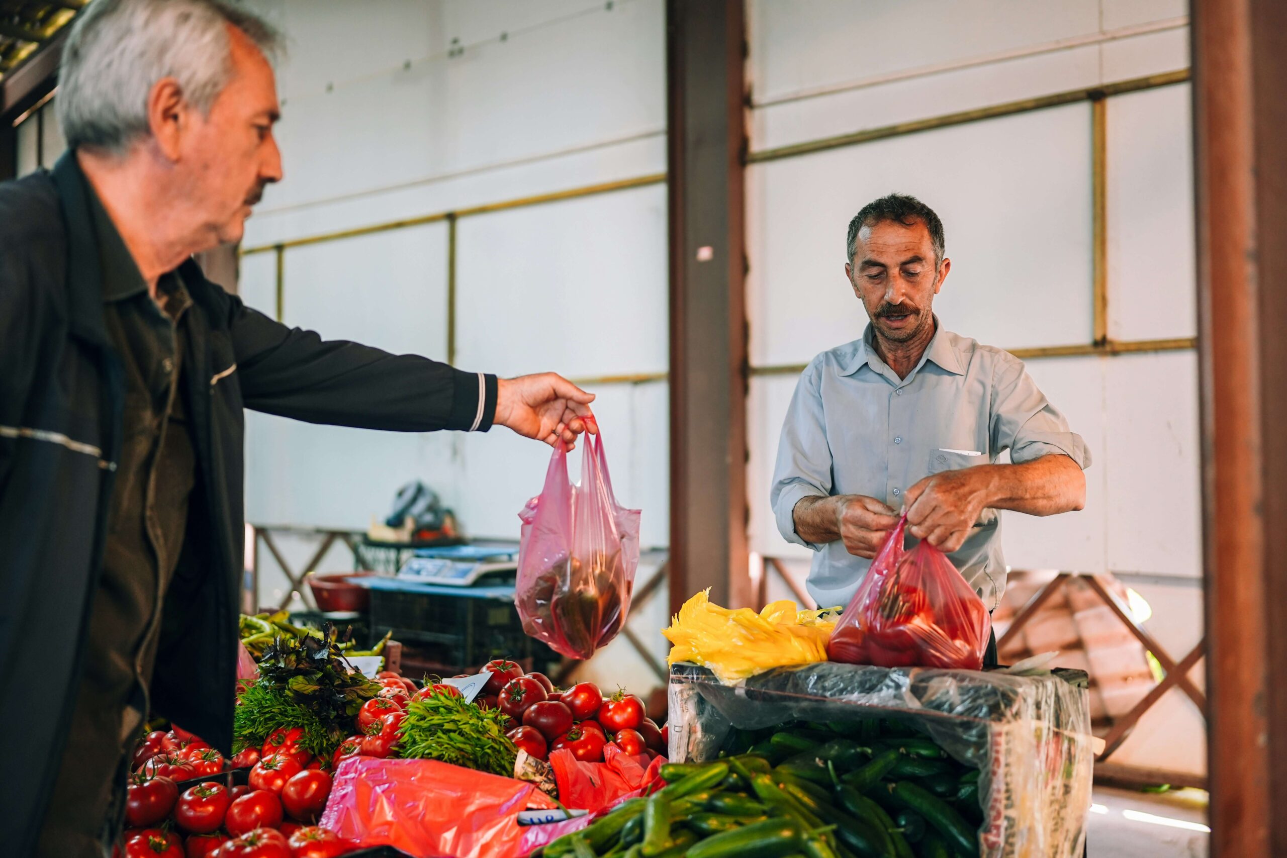 Profitable Small Business Opportunities in Syria | Syria Capital Partners